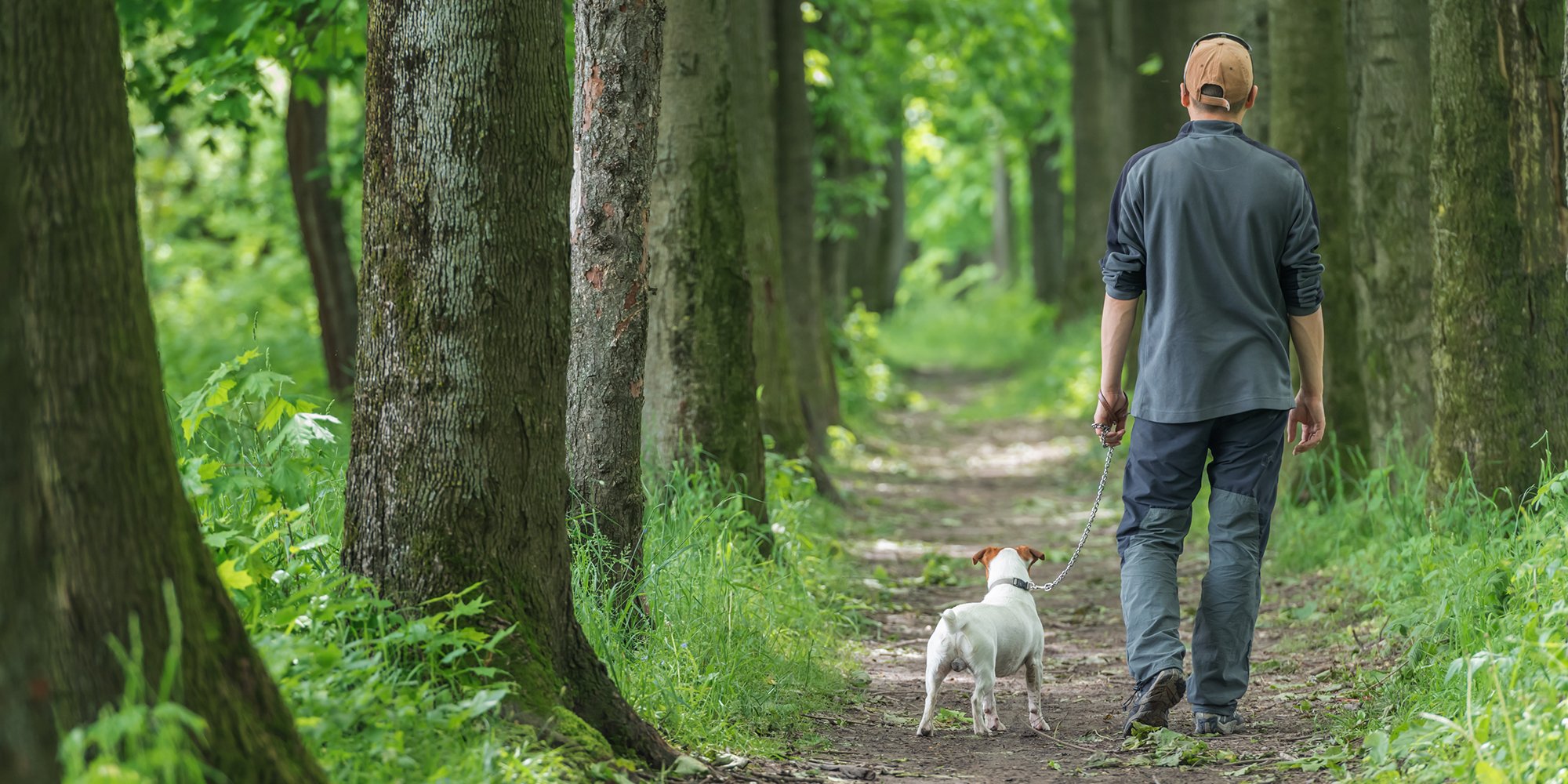 Cape Cod Pet-Friendly Vacation Rentals | Del Mar